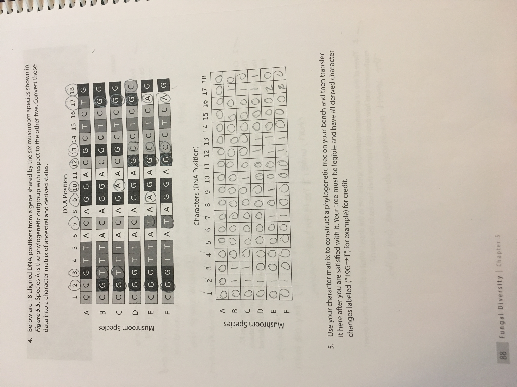 Solved use your character matrix to construct a phylogenetic | Chegg.com