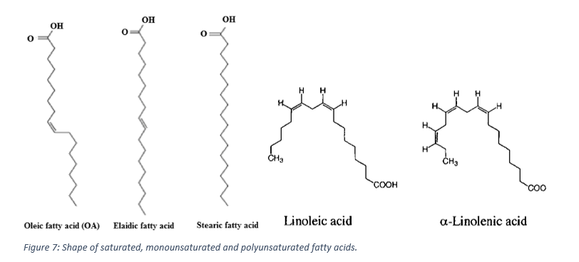 Solved Examine the 5 fatty acids in figure 7 below. Label | Chegg.com