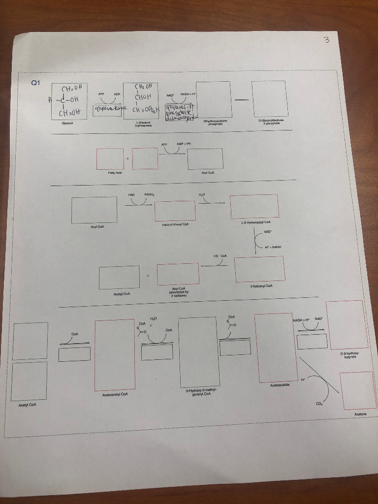 Solved ion 1 10 Points Fill In Boxes Labelled N Q1 On Chegg