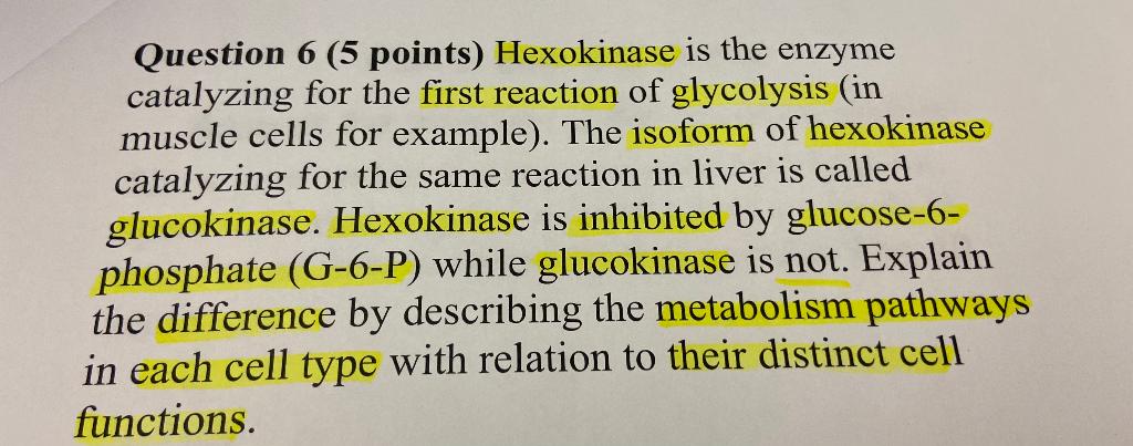 Solved Question 6 (5 points) Hexokinase is the enzyme | Chegg.com