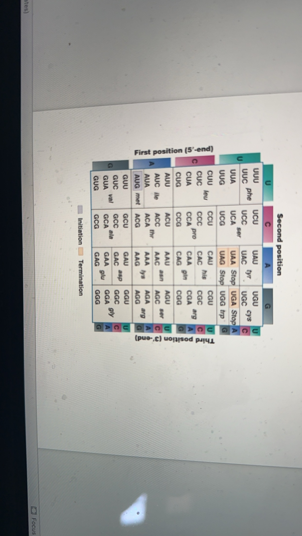 Solved Write the mRNA transcript, anticodons, and protein | Chegg.com