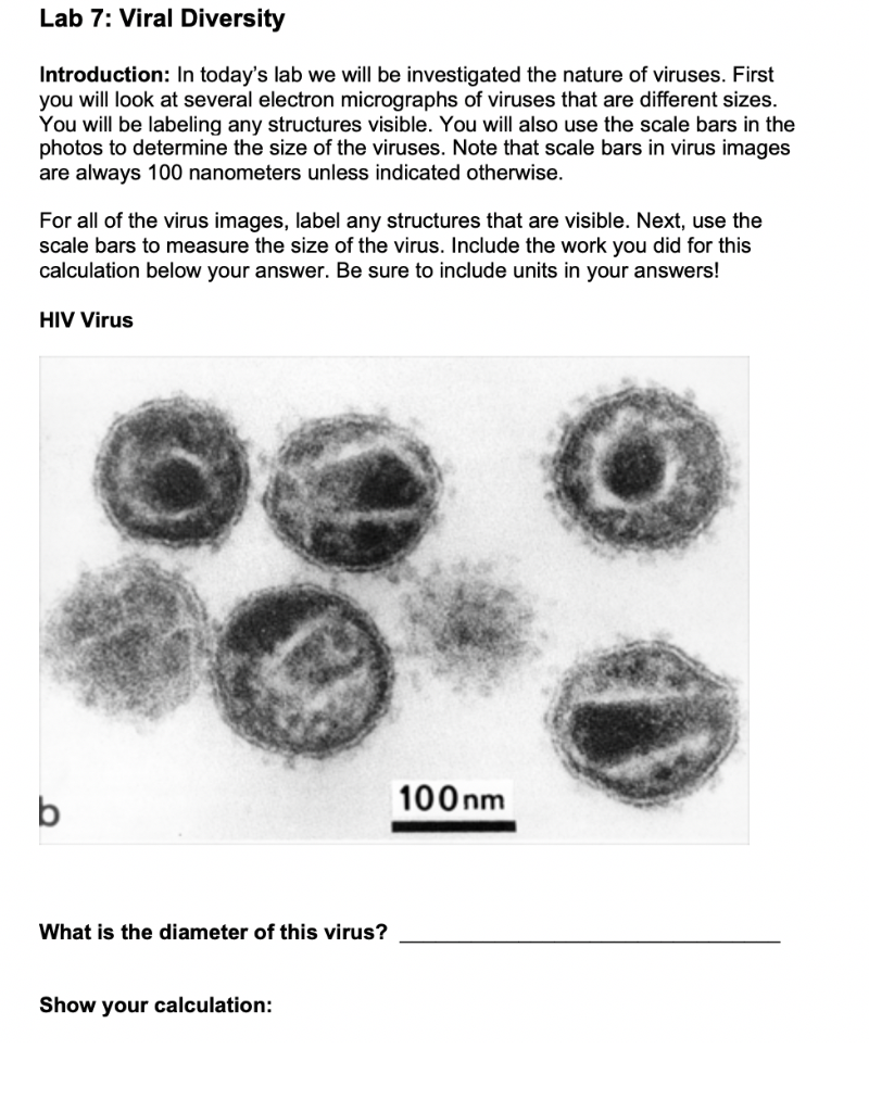 Solved Lab 7: Viral Diversity Introduction: In today's lab | Chegg.com