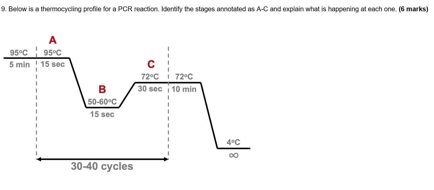 [Solved]: 9. Below is a thermocycling profile for a PCR re