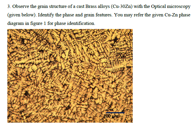 Solved 3. Observe the grain structure of a cast Brass alloys | Chegg.com