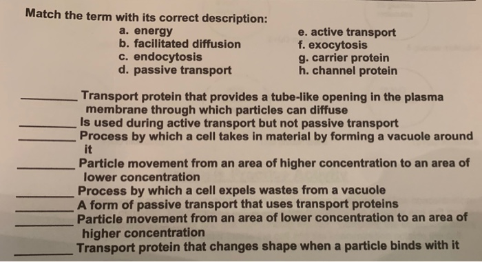 Solved Match the term with its correct description: a. | Chegg.com