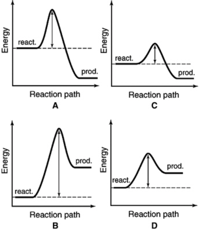 Solved The energy profiles for four different reactions are | Chegg.com