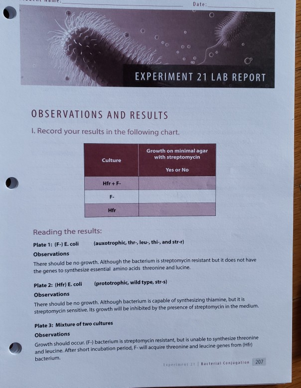 Solved Date Experiment 21 Lab Report Observations And
