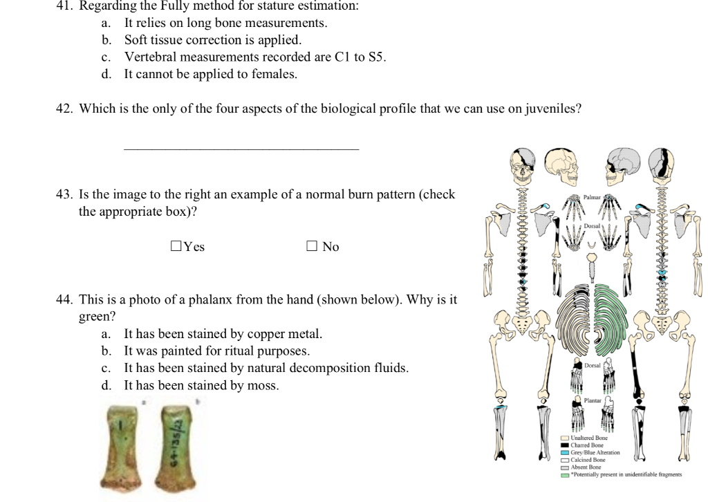 Solved 41. Regarding the Fully method for stature | Chegg.com