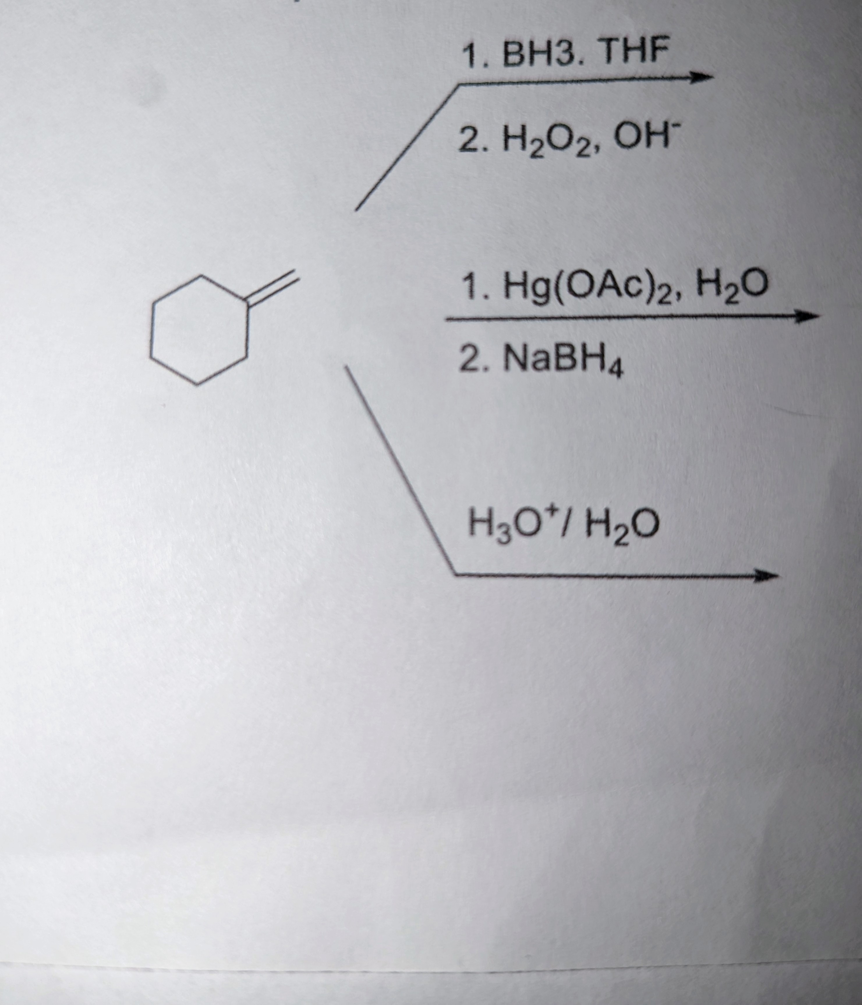 Solved 1. BH3.THF 2. H2O2,OH− 1. Hg(OAC)2,H2O NaBH4 | Chegg.com