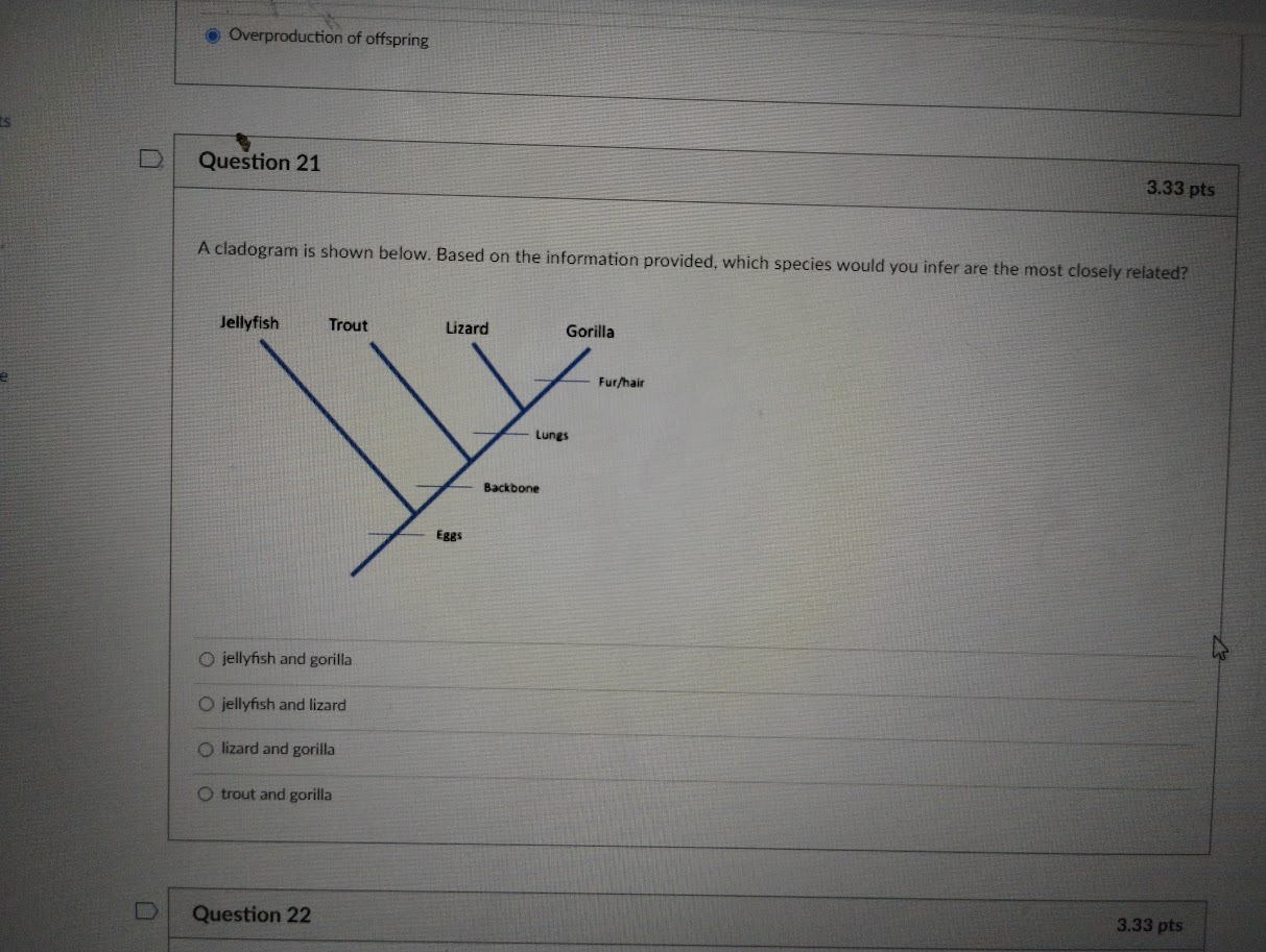 Solved Question 21A cladogram is shown below. Based on the | Chegg.com