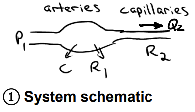 (1) System schematic(2) Input: P1, output: Q2 (3) | Chegg.com