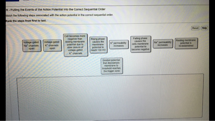Solved Match the following steps associated with the action | Chegg.com