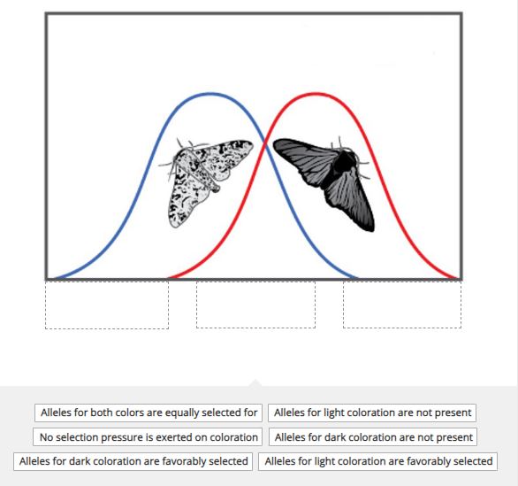 [Solved]: This figure illustrates changes in the peppered mo