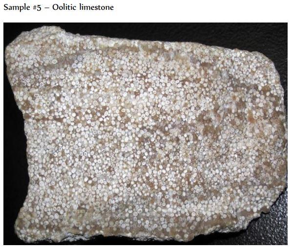 Solved Sample \#1 - Red Sandstone Sample \#2 - | Chegg.com