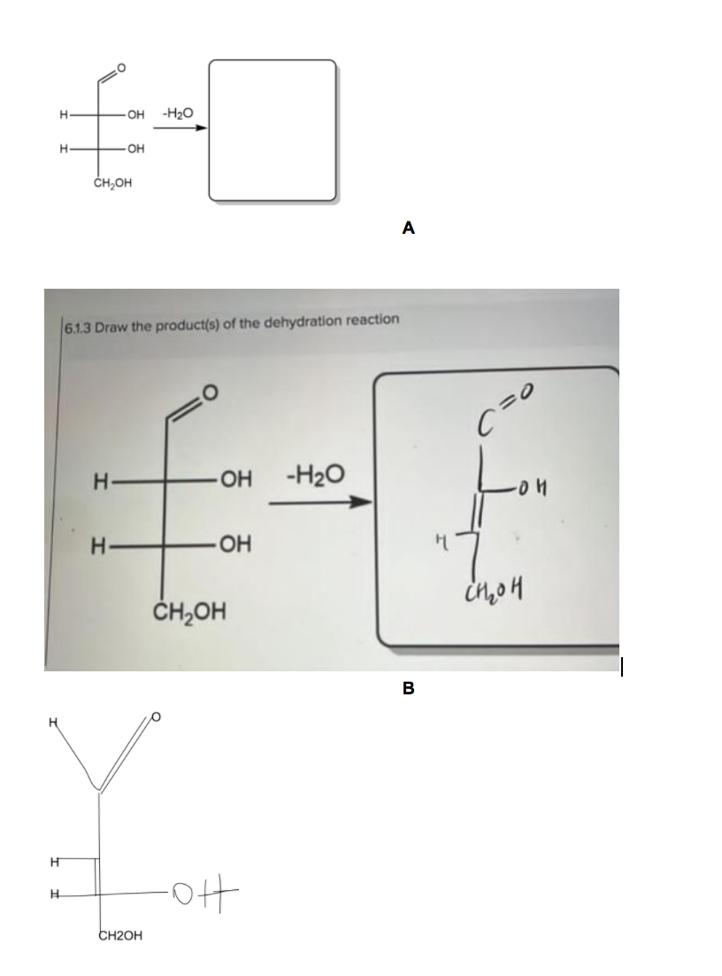 Solved Draw the product(s) of the dehydration reaction. 2 | Chegg.com