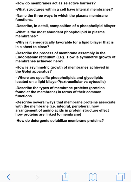Solved -How do membranes act as selective barriers? What | Chegg.com