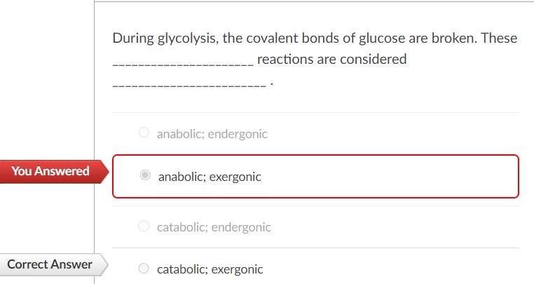 Solved write a rationale for why that answer was correct and | Chegg.com
