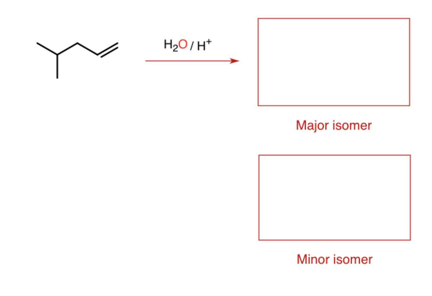 Solved H2O/H+ Major isomer Minor isomer | Chegg.com
