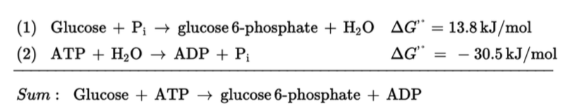 1. The phosphorylation of glucose to glucose | Chegg.com