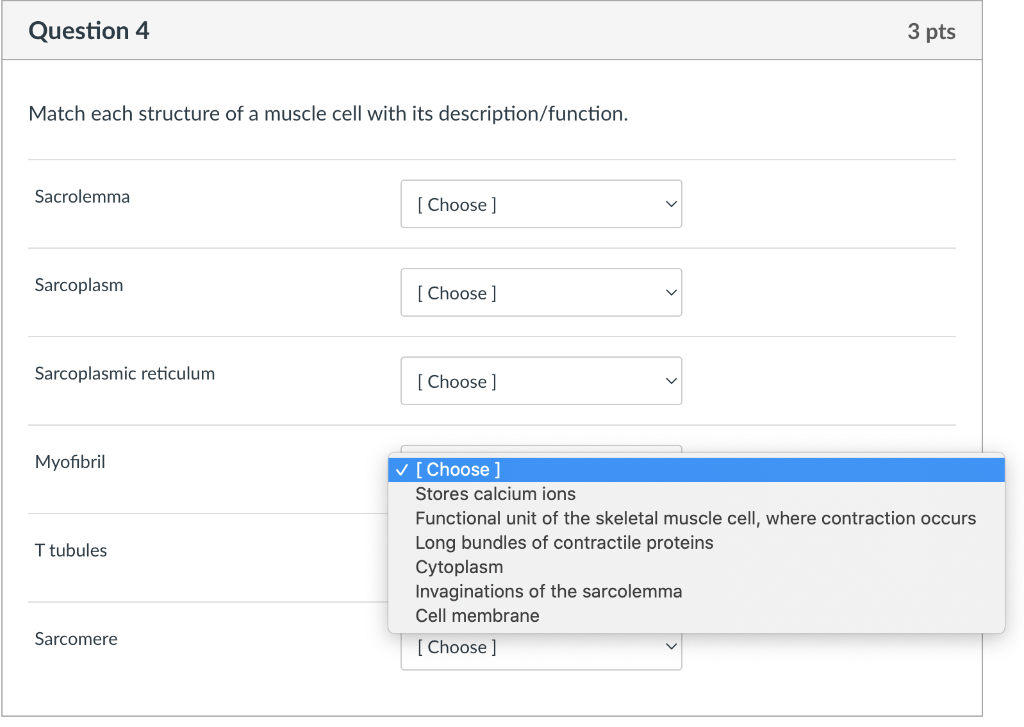 Match each structure of a muscle cell with its | Chegg.com