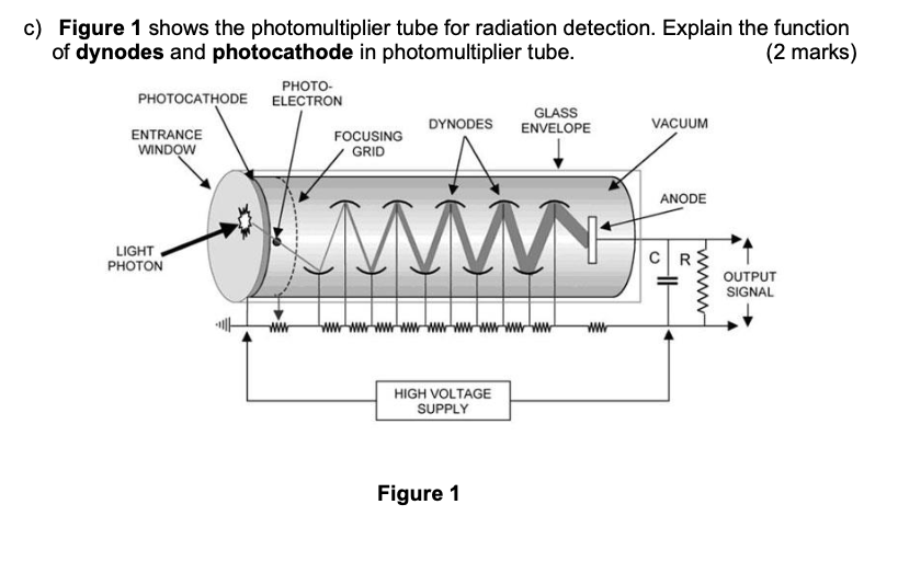 Solved c) Figure 1 shows the photomultiplier tube for | Chegg.com