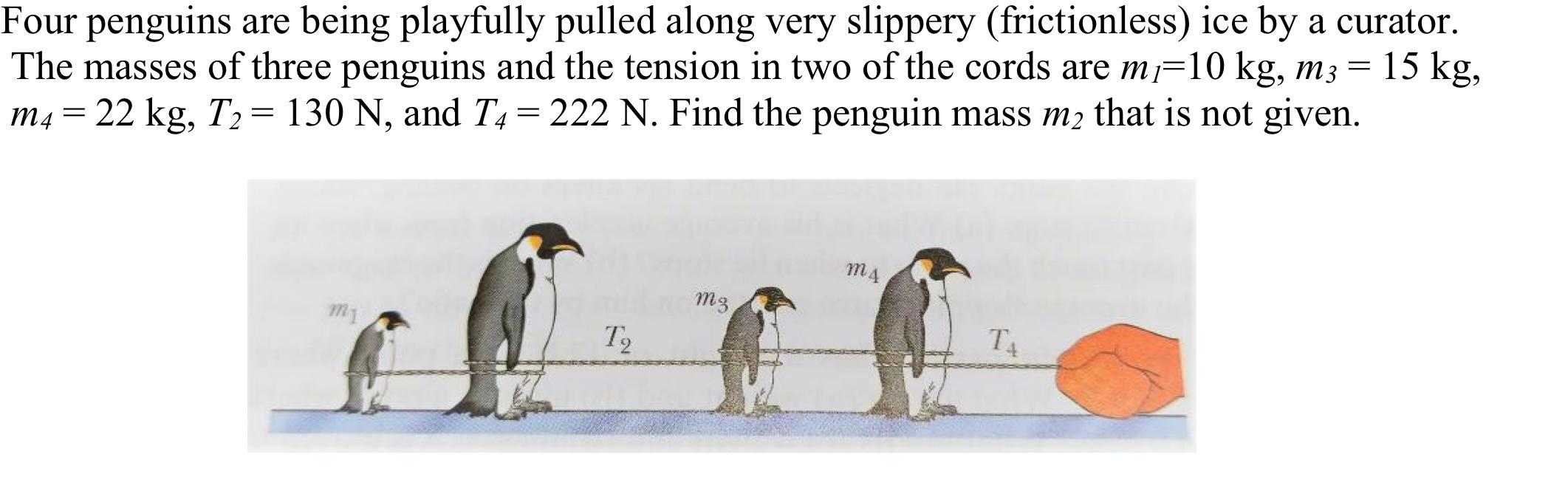 Solved Four penguins are being playfully pulled along very | Chegg.com