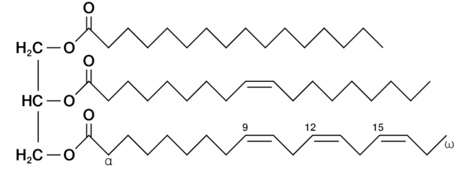 Solved What are the symbols of the fatty acyl chains | Chegg.com