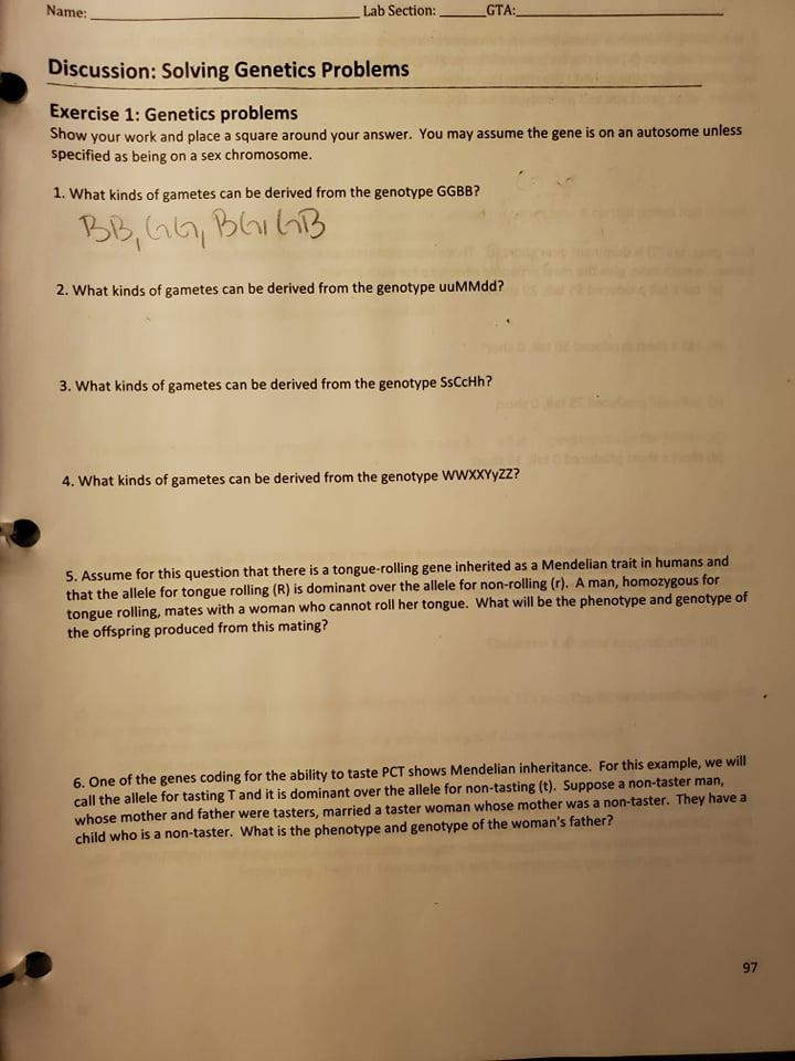 Solved Name Lab Section Gta Discussion Solving Genetics Chegg