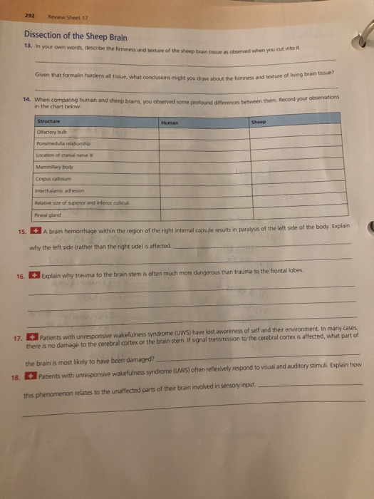 Solved Review Sheet 17 291 Cranial Nerves 12. Using the | Chegg.com