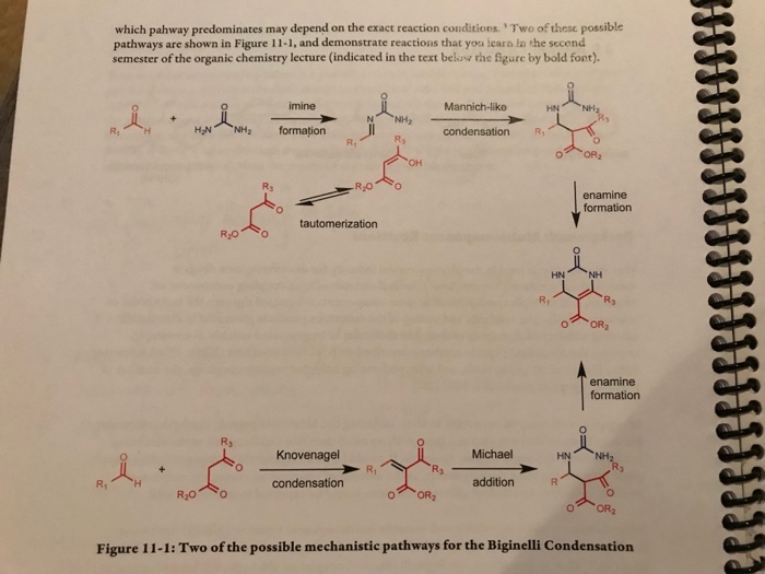 Solved 4. Provide complete reaction mechanisms for the imine | Chegg.com