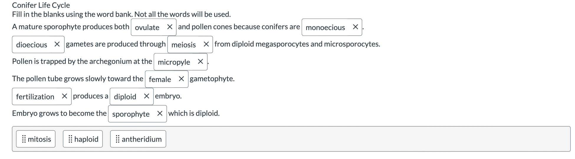 Solved Conifer Life CycleFill in the blanks using the word | Chegg.com