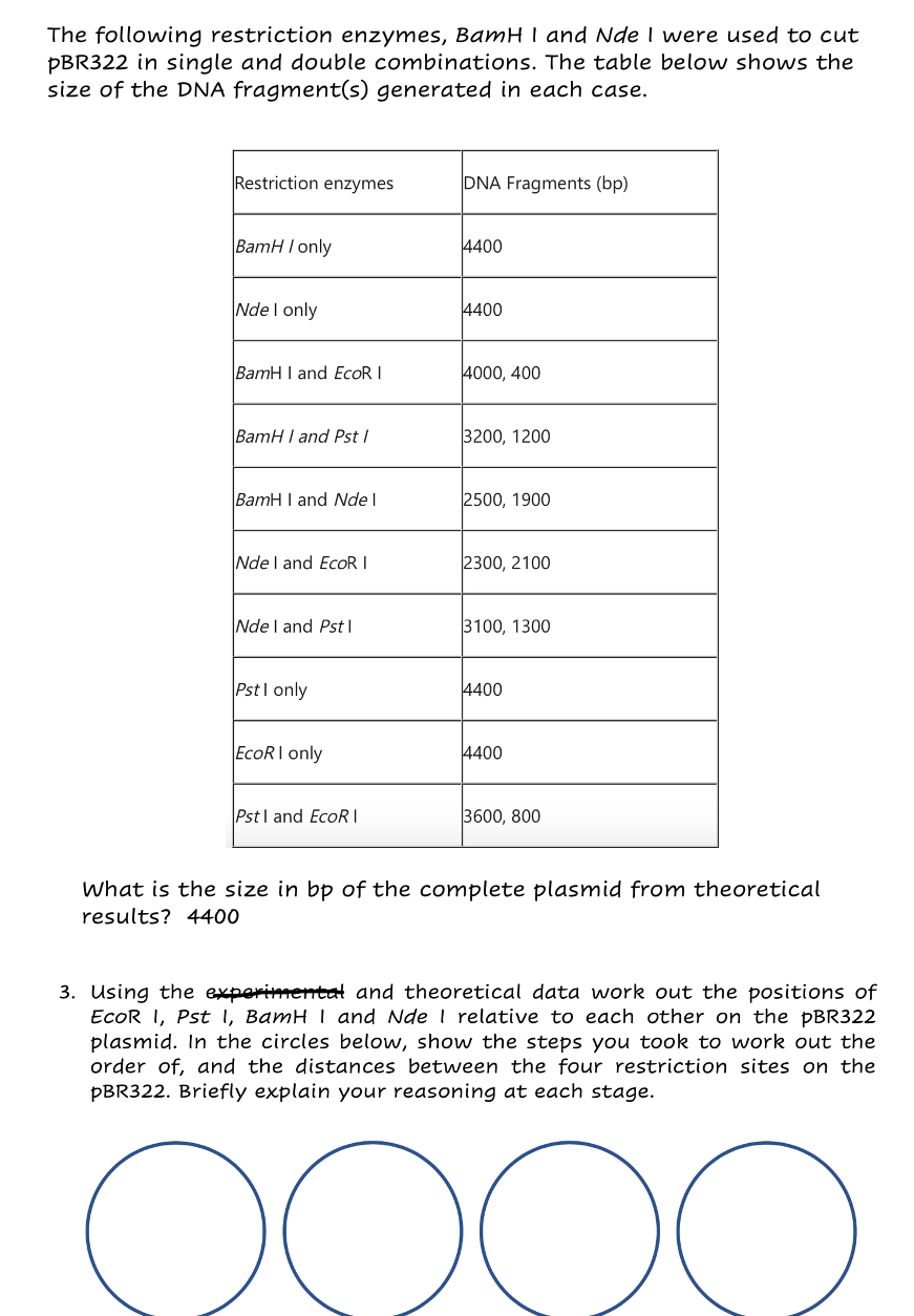 Solved The following restriction enzymes, BamH I and Nde I | Chegg.com