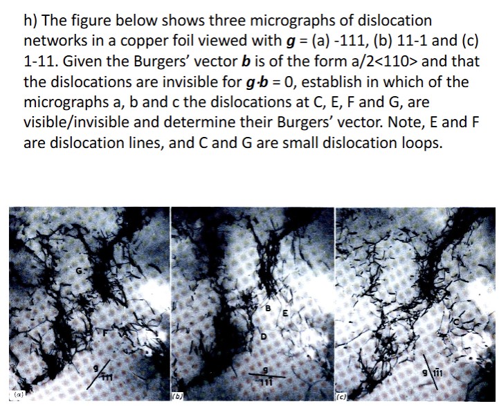 Solved h) ﻿The figure below shows three micrographs of | Chegg.com