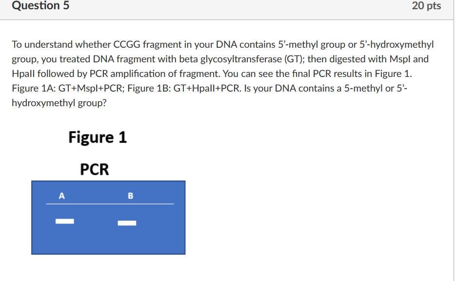 Solved To understand whether CCGG fragment in your DNA | Chegg.com