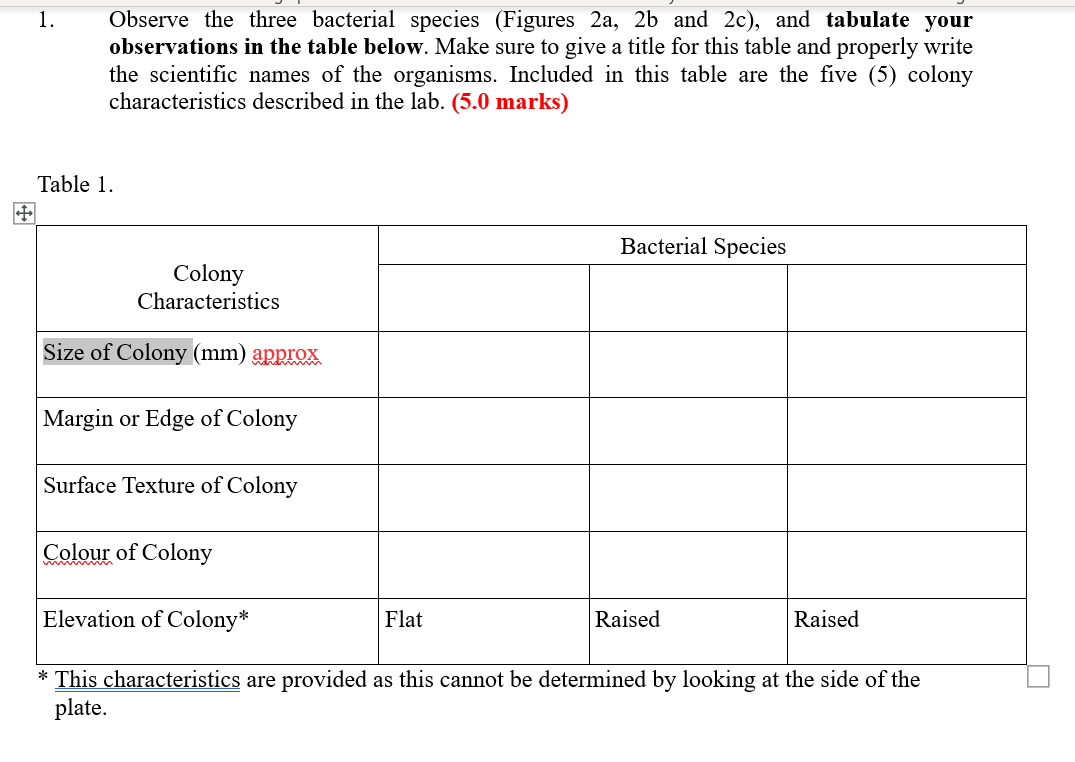 Solved 1. Observe the three bacterial species (Figures 2a, | Chegg.com Solved 1. Observe the three bacterial species (Figures 2a, | Chegg.com