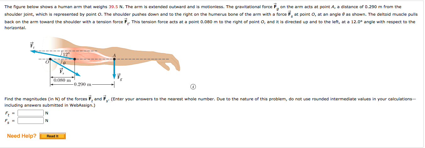 Solved The figure below shows on the arm acts at point A, a | Chegg.com