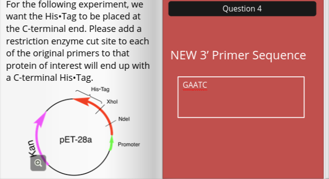 Solved Ladder A Question 5 1.5 kbp 12 kbp 1.0 kbo 900 bp | Chegg.com