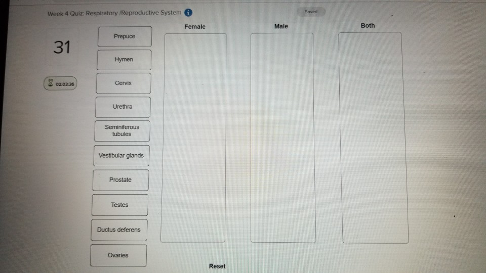 Solved Week 4 Quiz: Respiratory /Reproductive System Saved | Chegg.com Solved Week 4 Quiz: Respiratory /Reproductive System Saved | Chegg.com