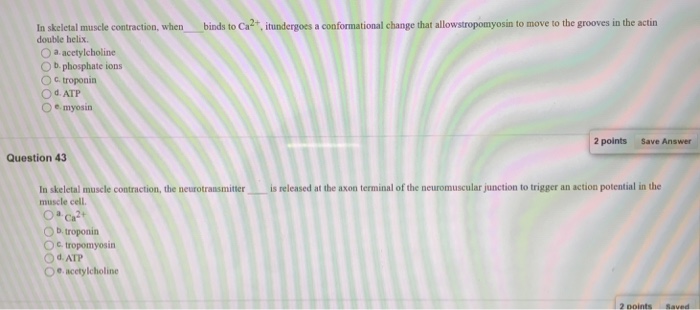 Solved In skeletal muscle contraction, when _____ binds to | Chegg.com