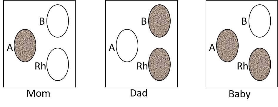 Solved During a busy night in labor and delivery, several | Chegg.com