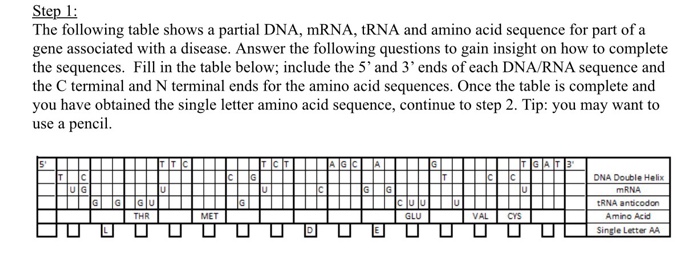Step 1: The following table shows a partial DNA, | Chegg.com