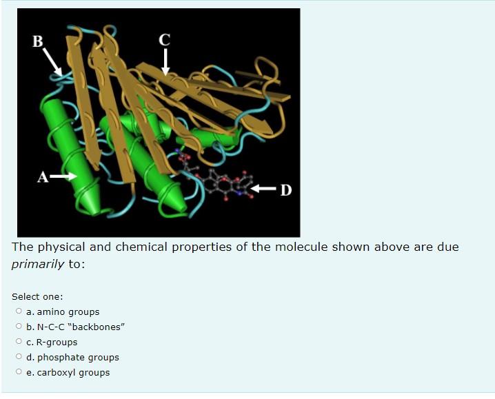 Solved The physical and chemical properties of the molecule | Chegg.com