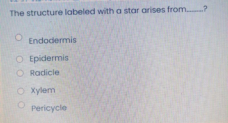Solved The structure labeled with a star arises | Chegg.com