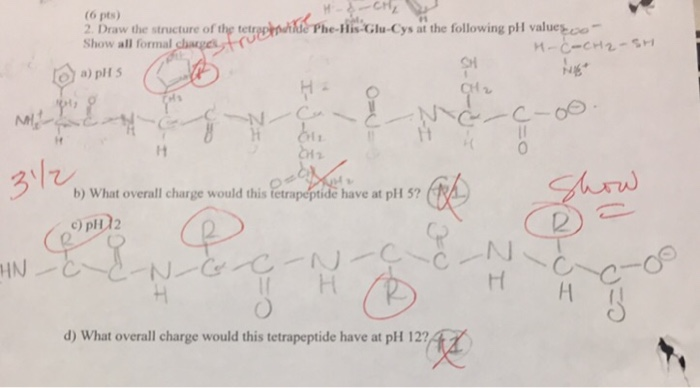 Solved (6 pts) 2. Draw the structure of the tet Show all | Chegg.com