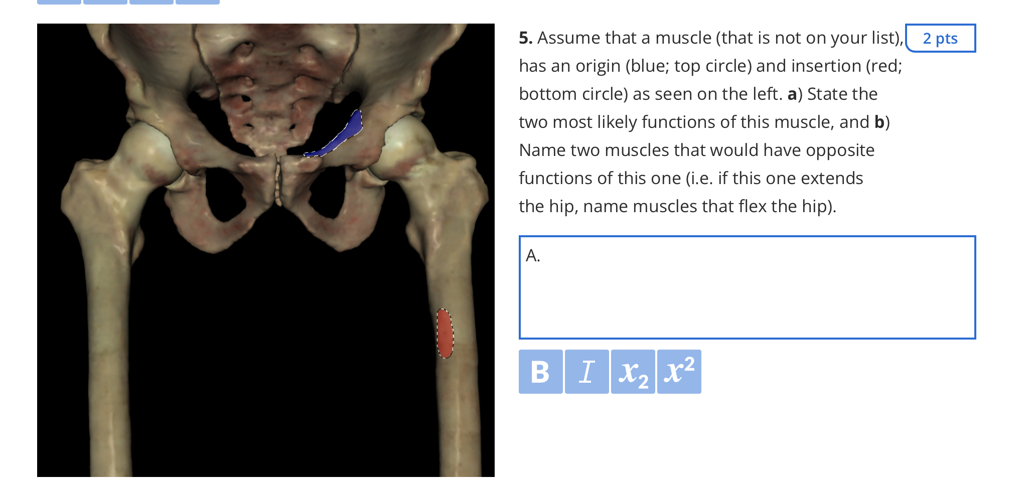 Solved 5. Assume that a muscle (that is not on your list), | Chegg.com