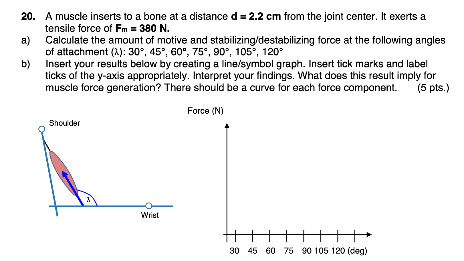 Solved A muscle inserts to a bone at a distance d=2.2cm | Chegg.com