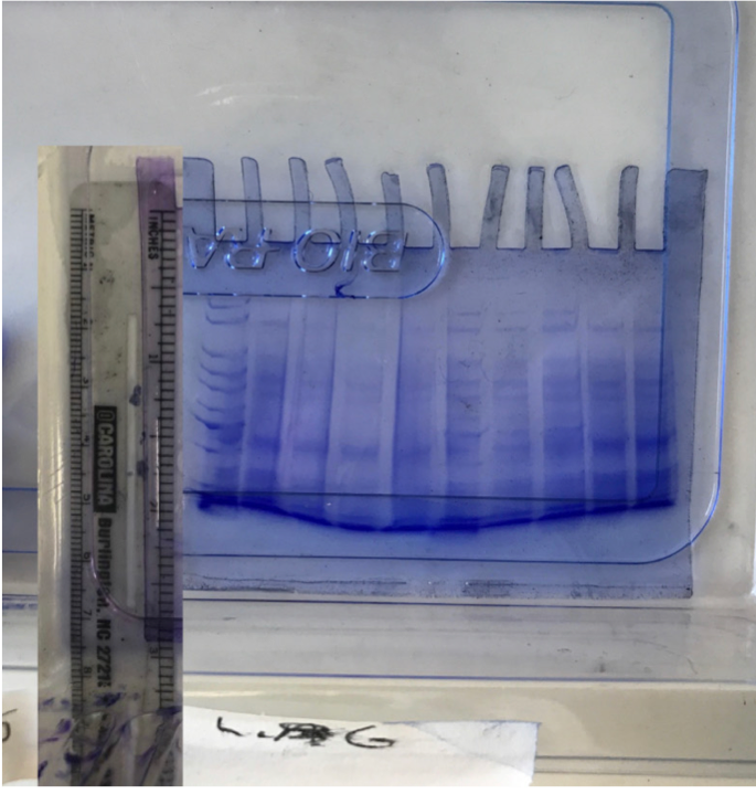 Measure the distance from the bottom of the well at | Chegg.com