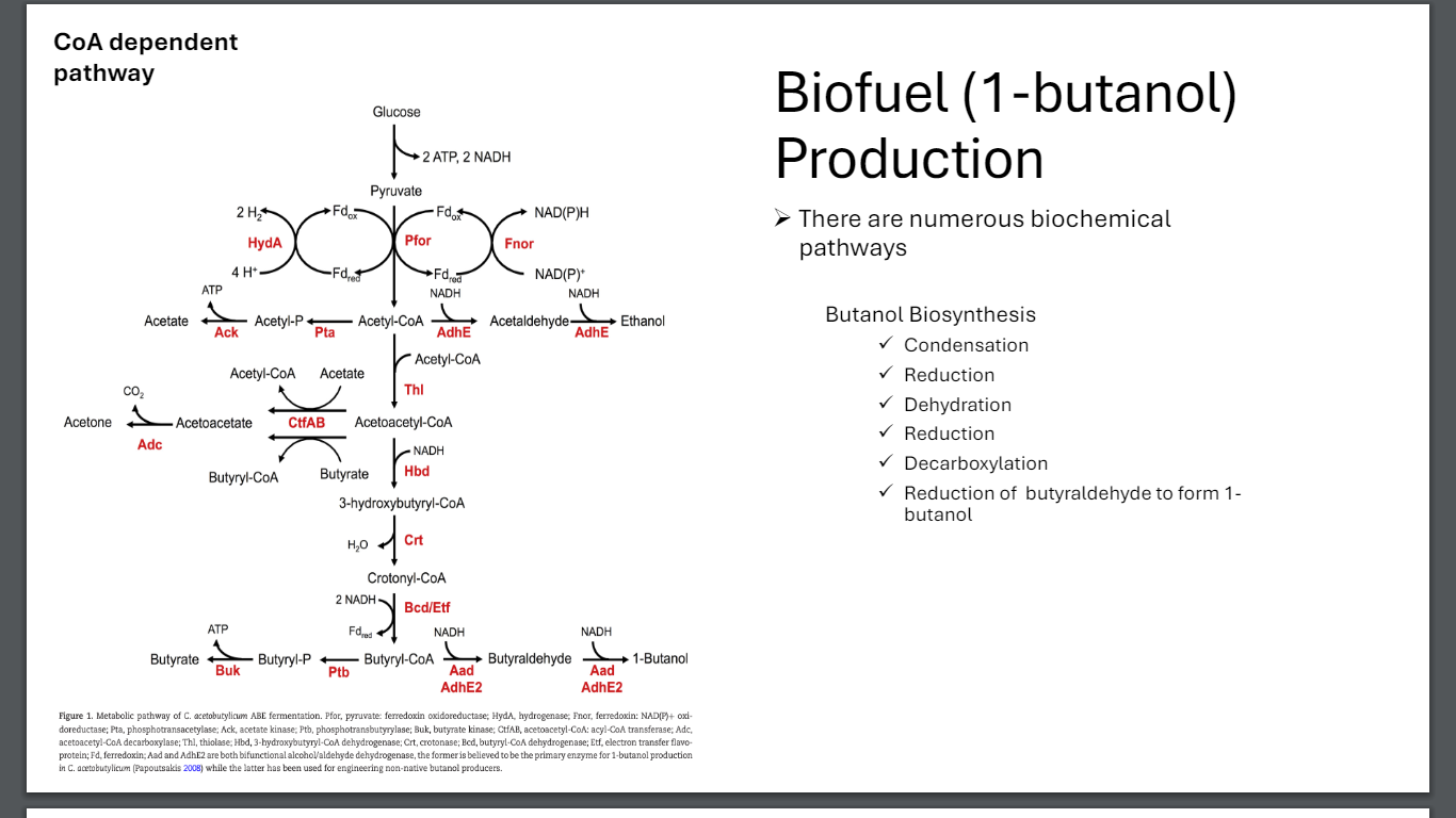 Solved CoA dependentpathwayFigure 1. ﻿Metabolic pathway of | Chegg.com