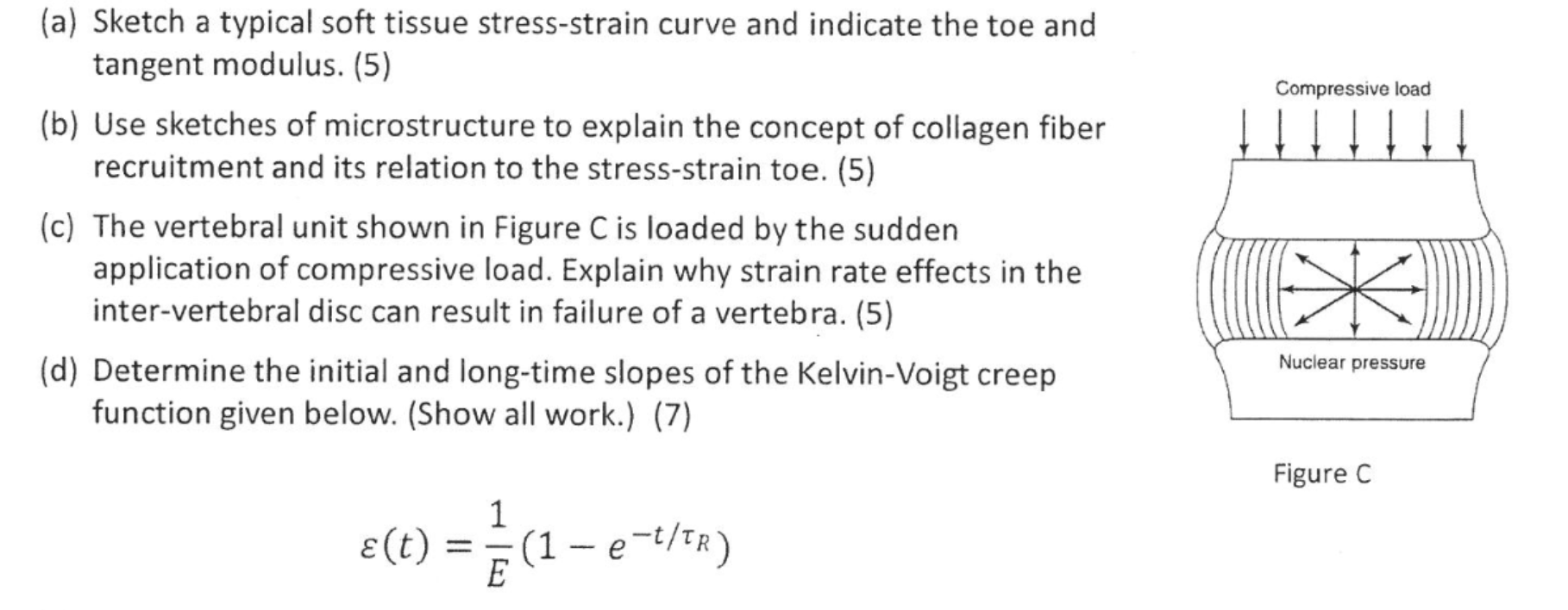 Solved (a) Sketch a typical soft tissue stress-strain curve | Chegg.com
