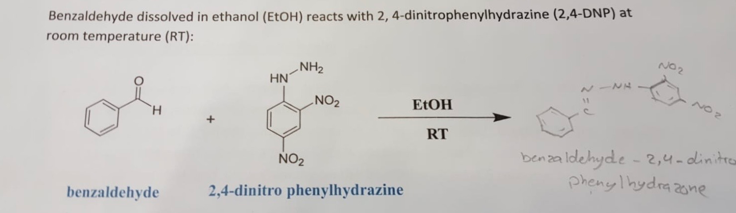 Solved Benzaldehyde dissolved in ethanol (EtOH) reacts with | Chegg.com